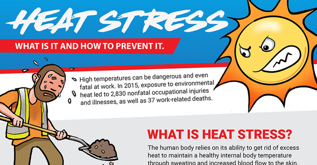 Heat Stress Infographic | Creative Safety Supply